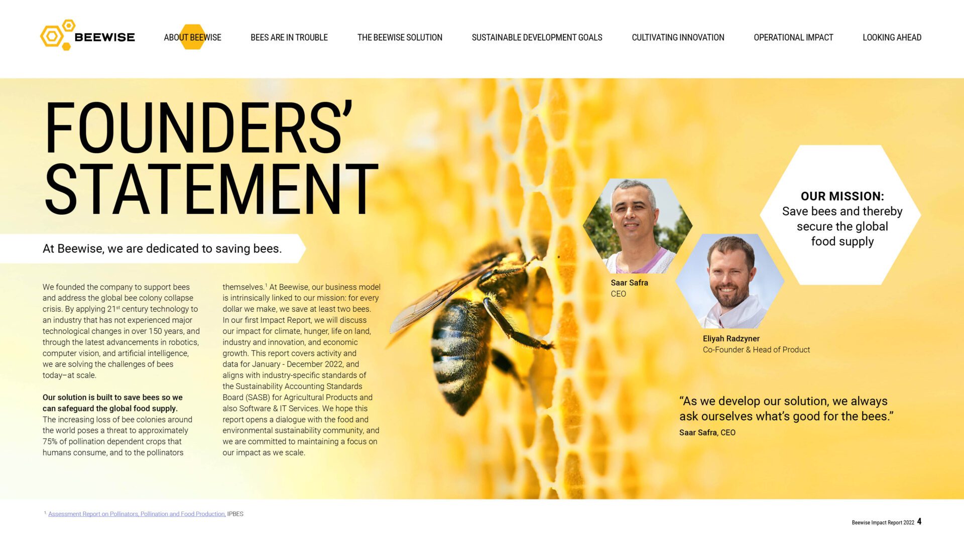 Beewise Impact Report 2022