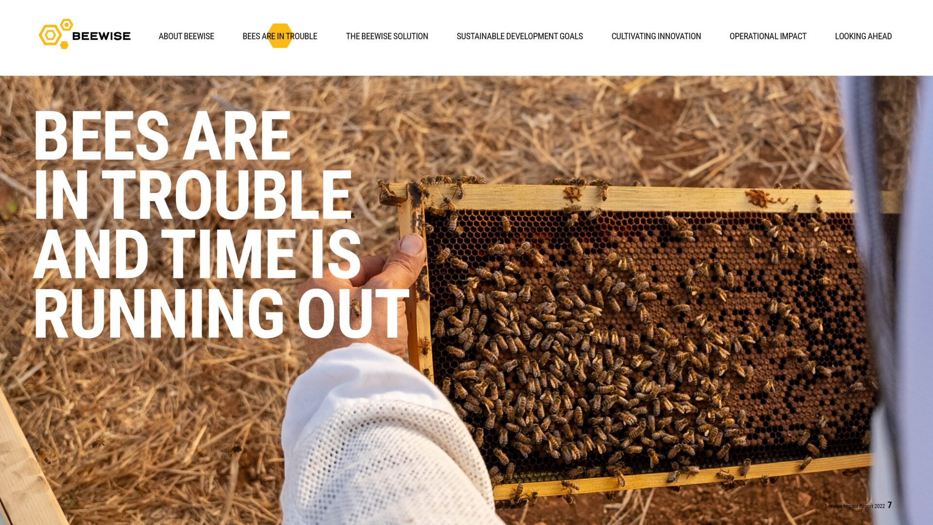 Beewise Impact Report 2022